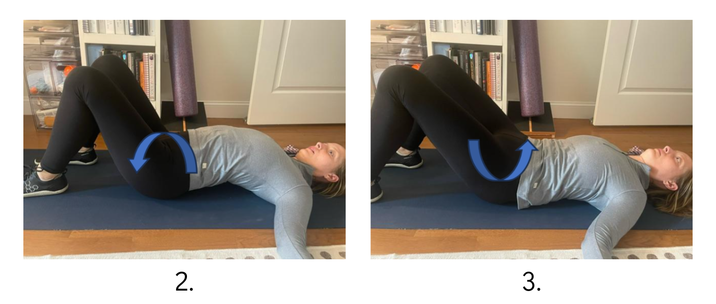 Guide to Postpartum Abdominal Separation - The Nesting Place